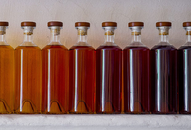 Cognac VS, VSOP, XO : the different Cognac quality grades
