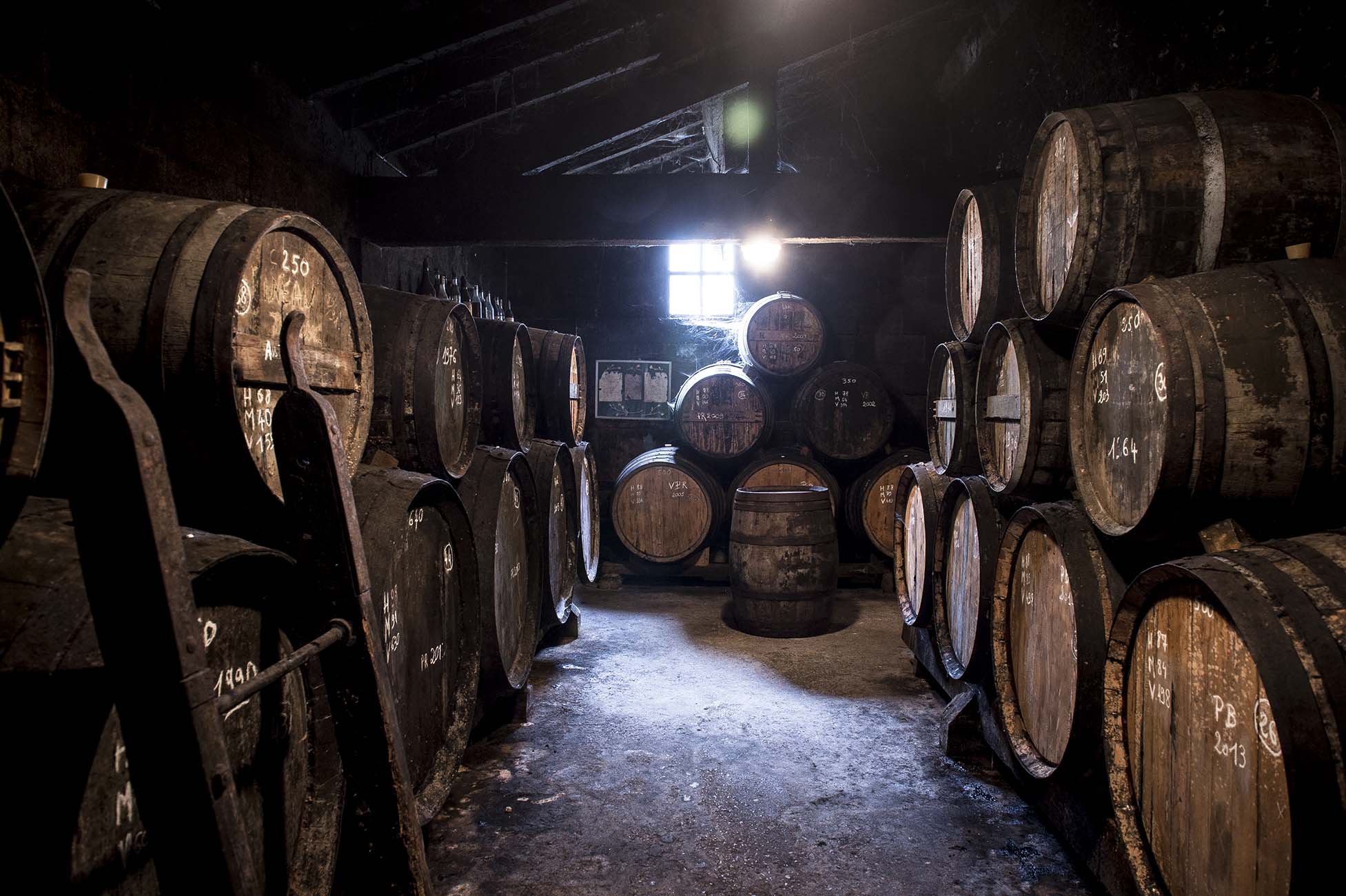 Les chais : quels sont les différents types